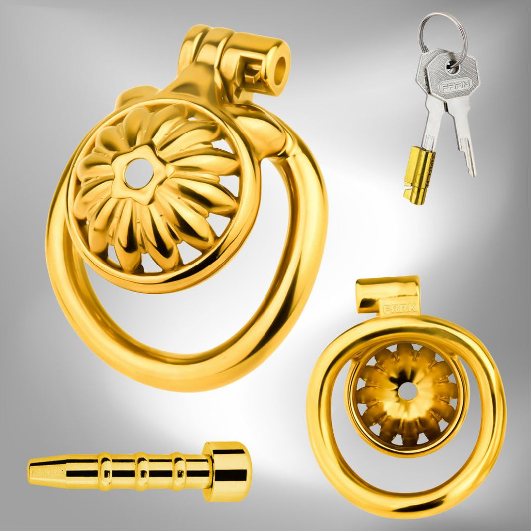 Shop Our Small Chastity Cage For Men - InvertedChastity