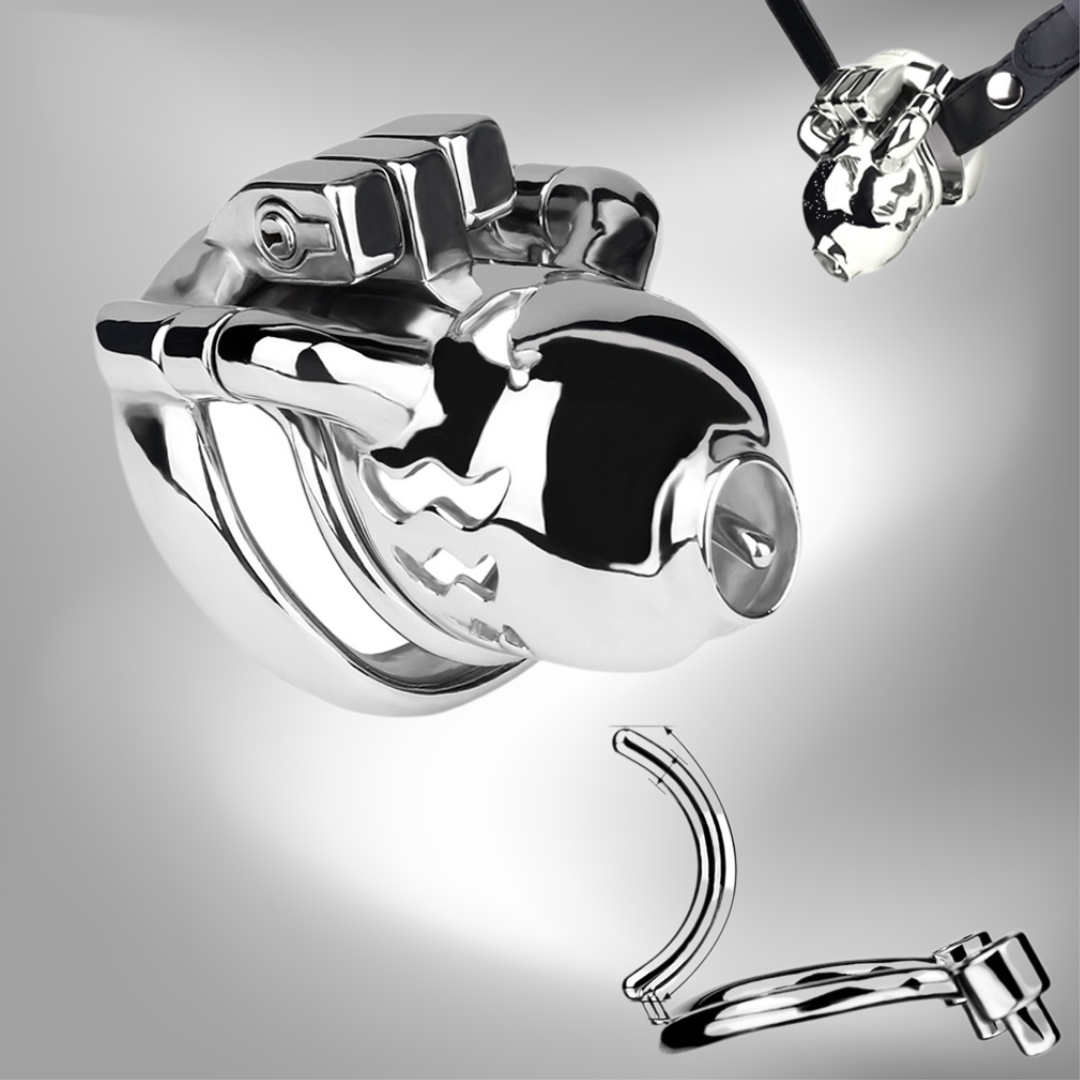 Prince Albert Cobra PA Metal Chastity Cage Secure and Durable Penis ...