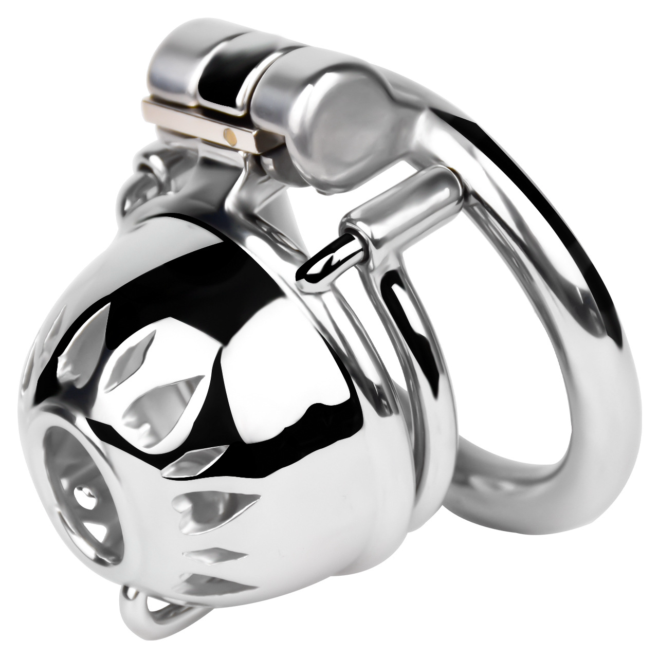 PA Chastity Cage Collection - Prince Albert Cock Locks for Men ...